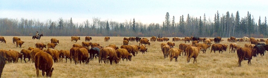 Alberta Beef Industry Conference – Alberta Beef Industry Conference